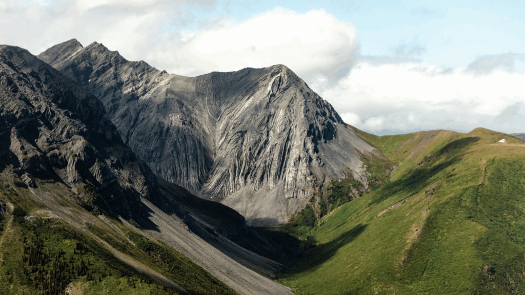 BC signals much-needed action on nature, finds report on progress ...