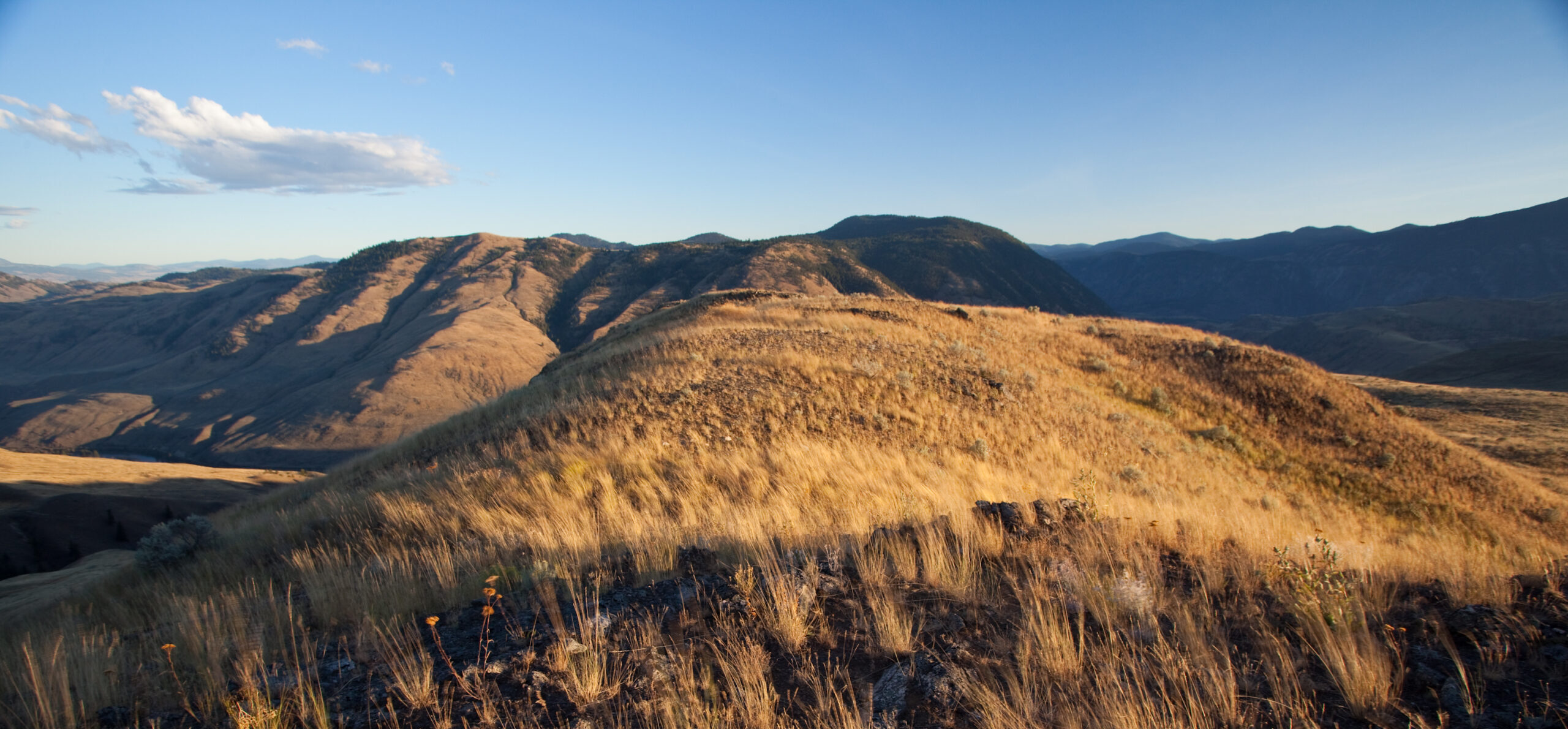 Creating the South Okanagan-Similkameen National Park Reserve | CPAWS-BC